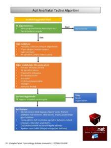 Anafilaksi – Acil Servis Tanı ve Tedavisi - Acilci.Net