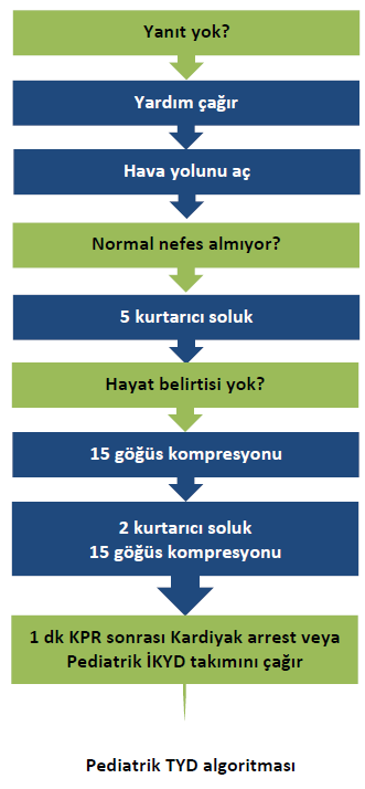 Pediatrik Yaşam Desteği – ERC Resuscitation 2015 Kılavuzu - Acilci.Net
