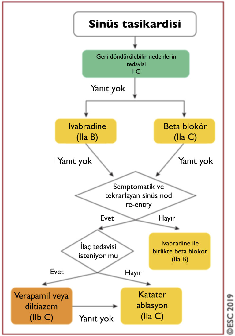 Supraventriküler Taşikardi Kılavuzu 2019 - Acilci.Net
